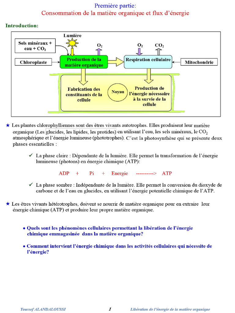Cours Unit1 3 SVT | PDF