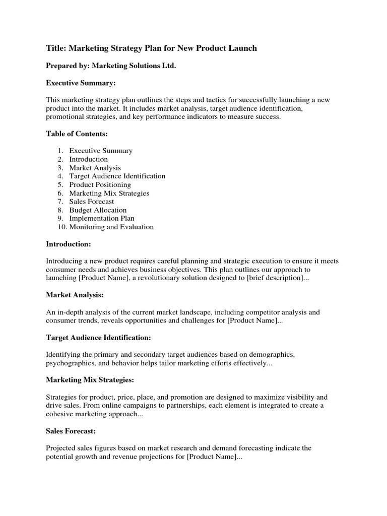 New Product Launch Marketing Plan | PDF