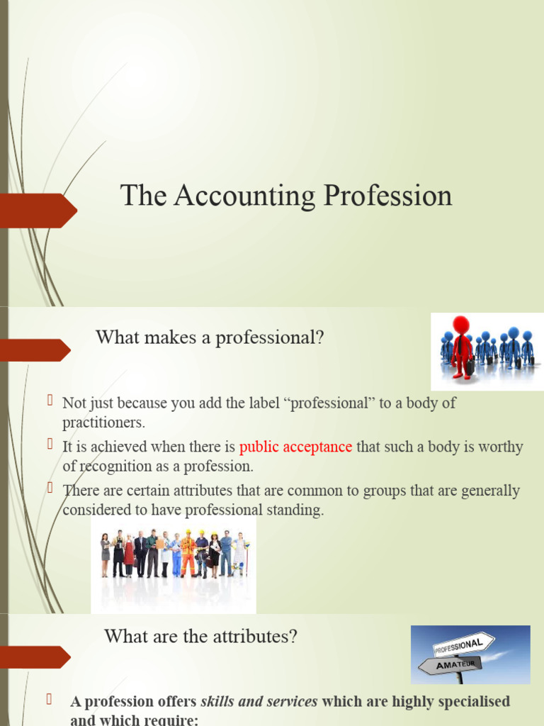 Learning Unit 2 | PDF | Accounting | Accountant