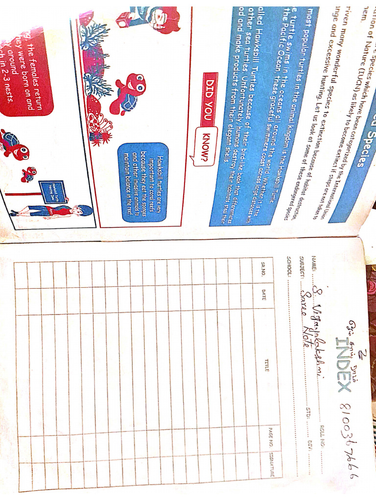 vijayalakshmi textile bill | PDF