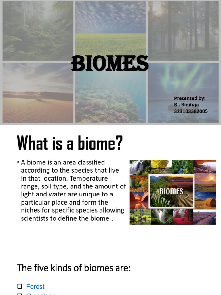 Biomes | PDF