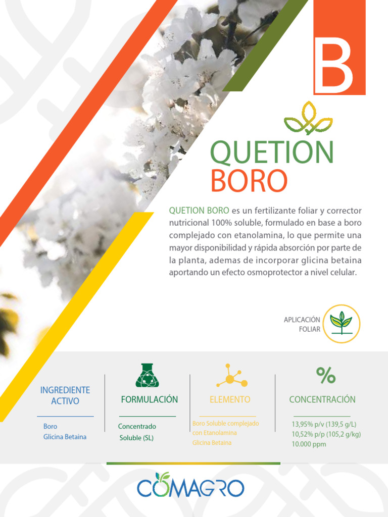 Question Boro | PDF | Fruta | Plantas