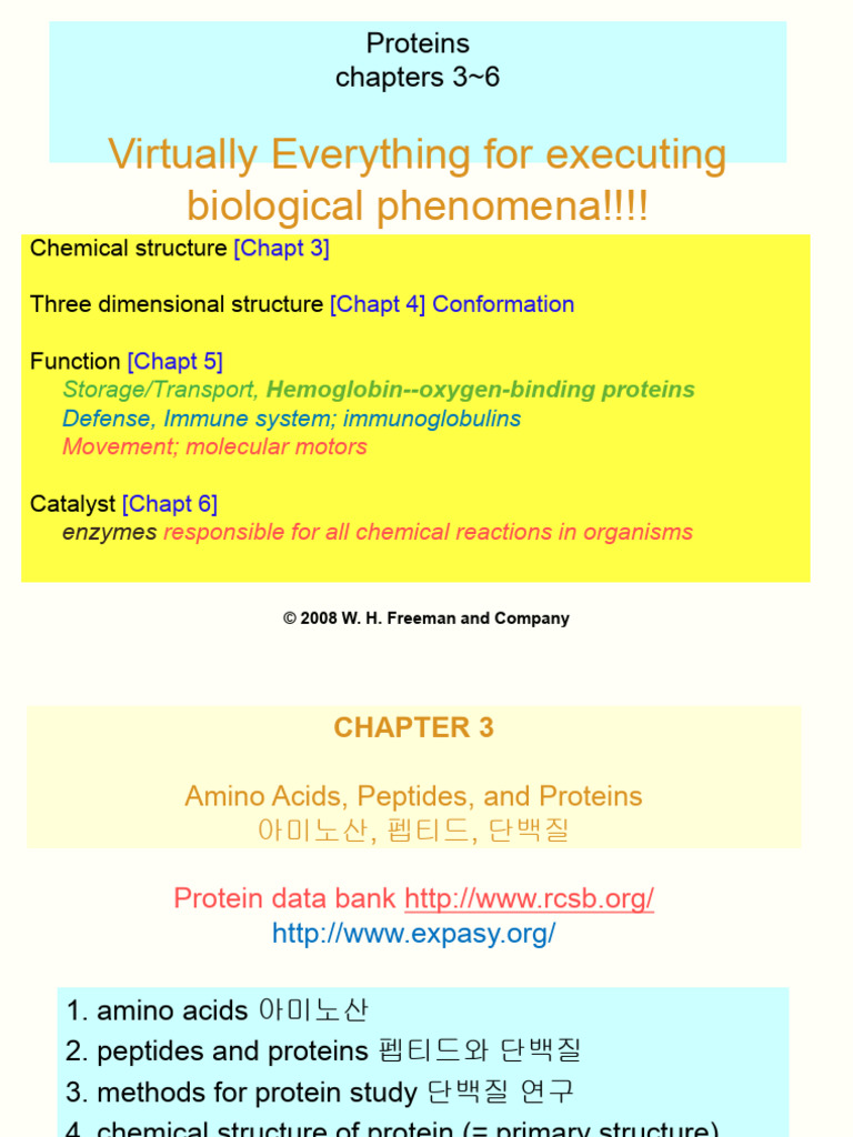 Biochemistry PPT Chapter 3 | PDF | Amino Acid | Proteins