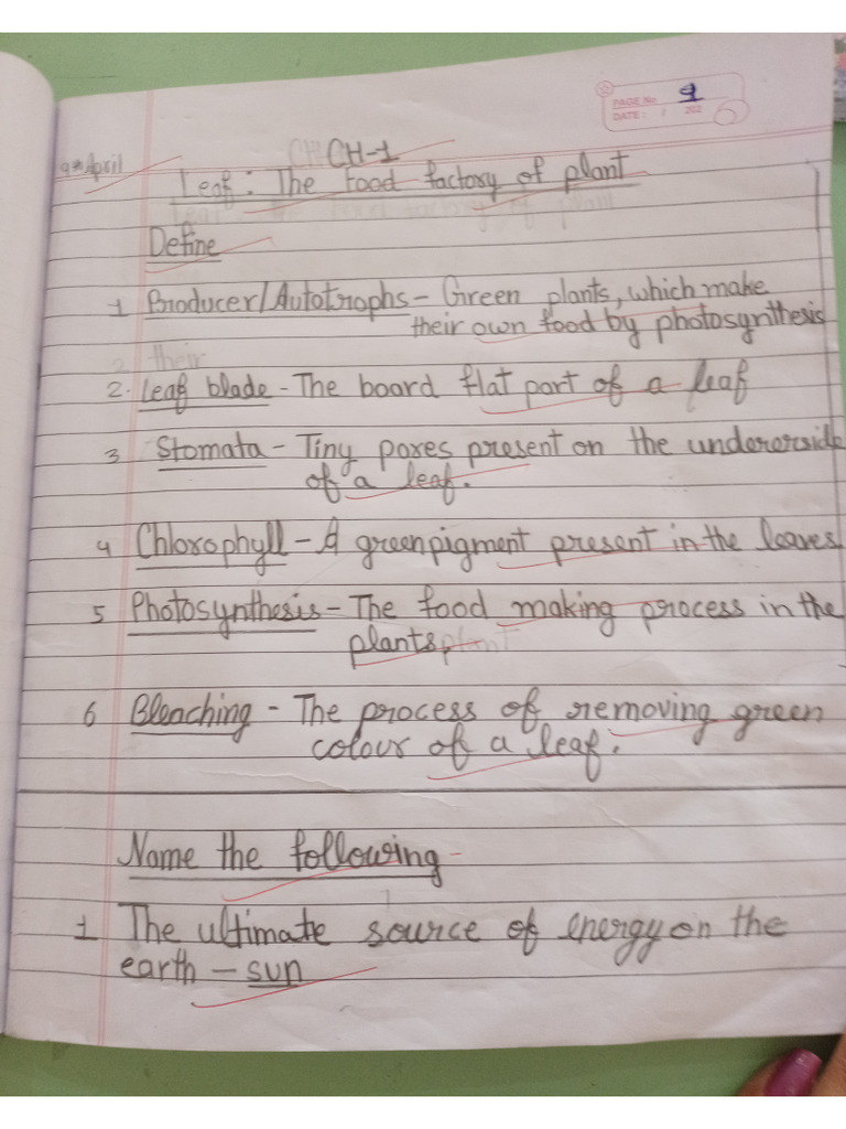 Science Class4 Chapter 1 | PDF