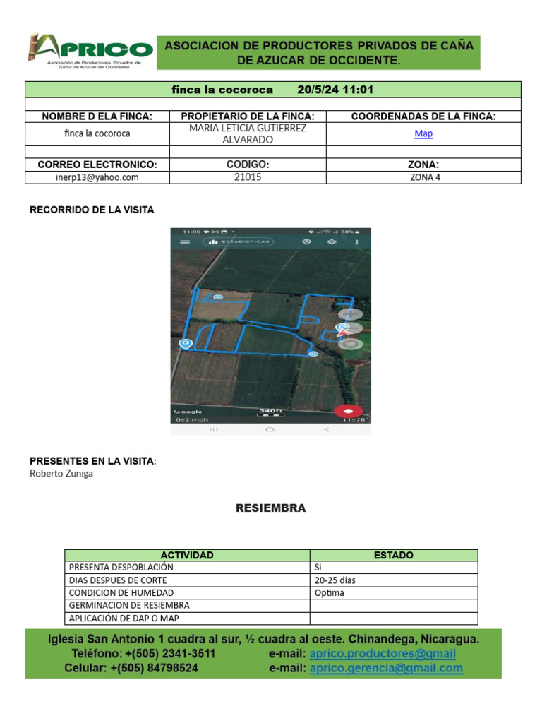 Aprico Informe (Personalizado) Final | PDF