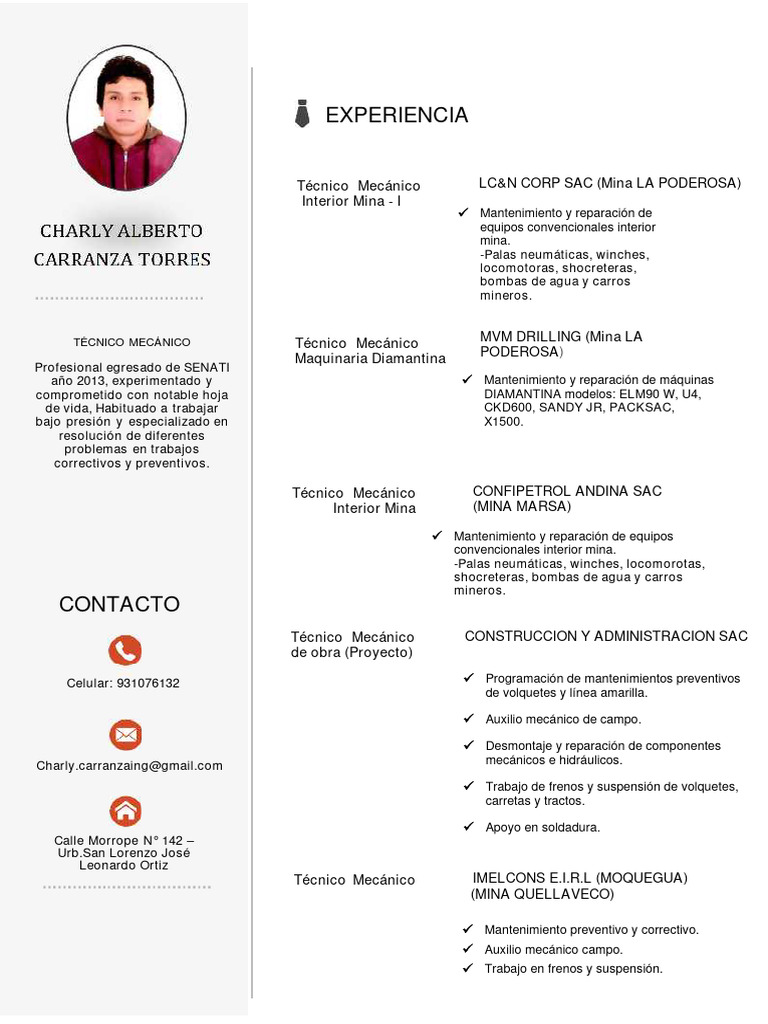 CV Charly Carranza Torres PDF | PDF | Ingeniería