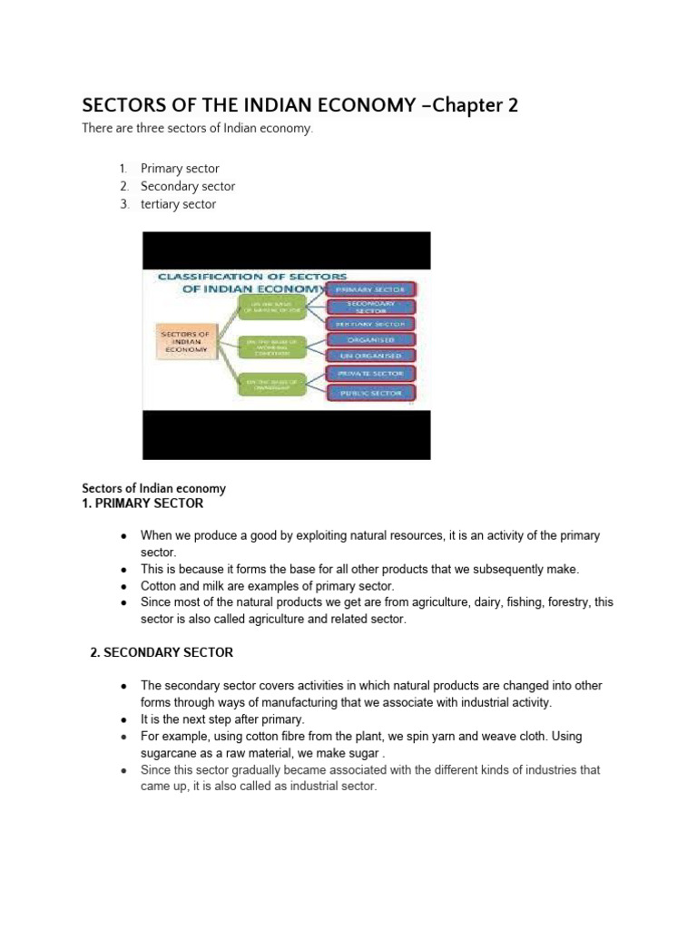 Sectors of The Indian Economy Notes | PDF | Employment | Gross Domestic ...