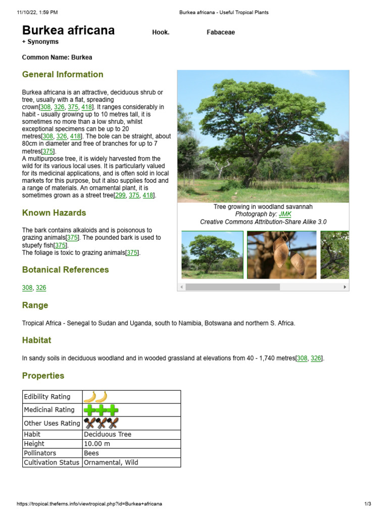 Burkea Africana | Download Free PDF | Trees | Seed