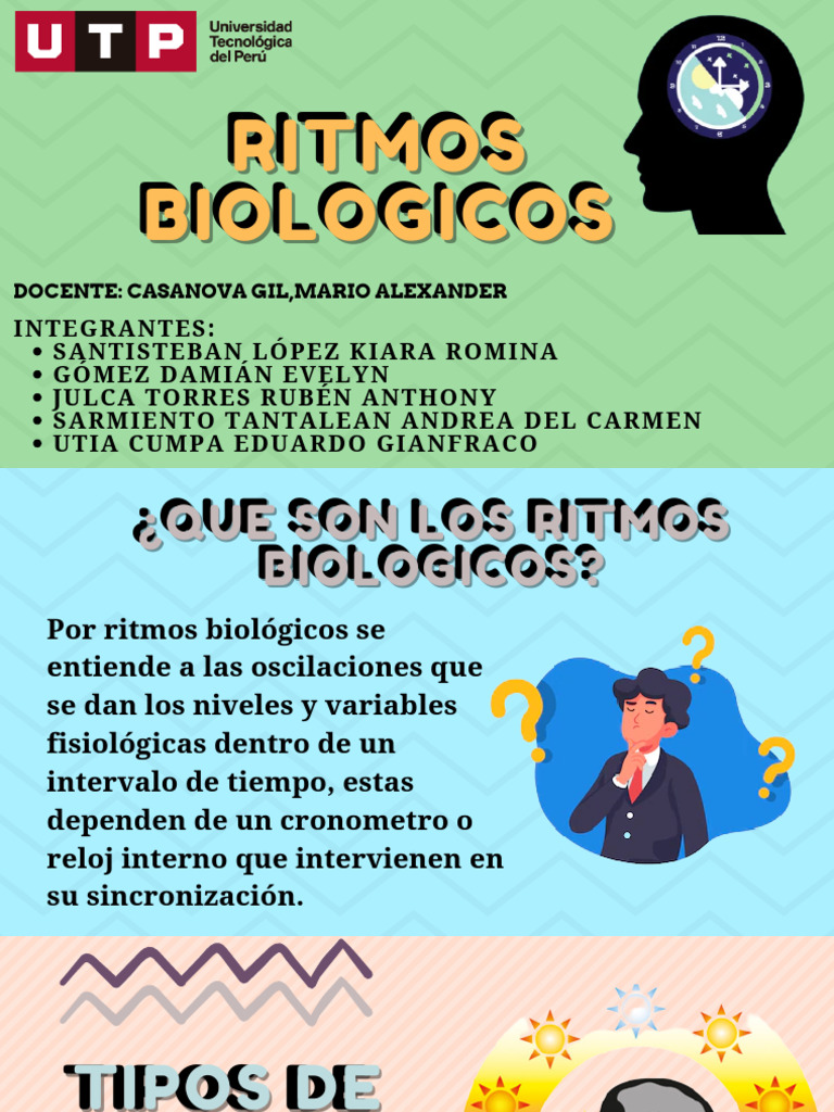 Ritmos Biológicos - Sueño | PDF | Dormir | Ritmo circadiano