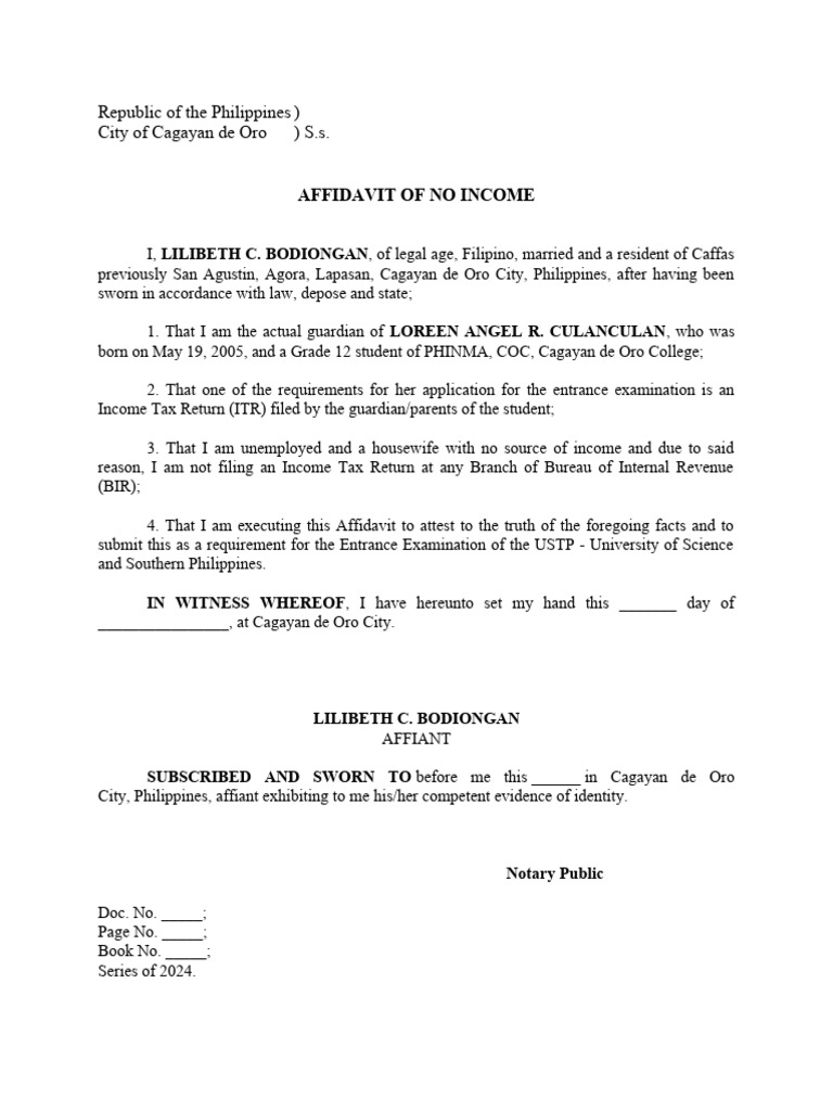 Affidavit of No Income | PDF