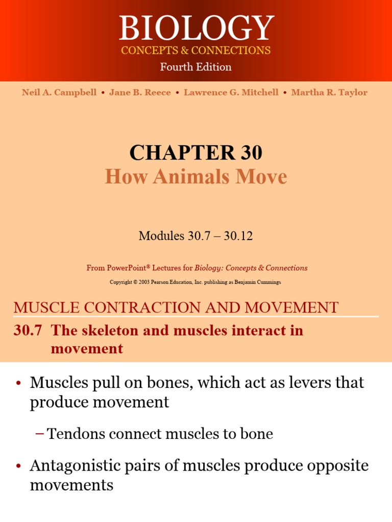 303 How Animal Move Muscle | PDF | Motor Neuron | Muscle Contraction