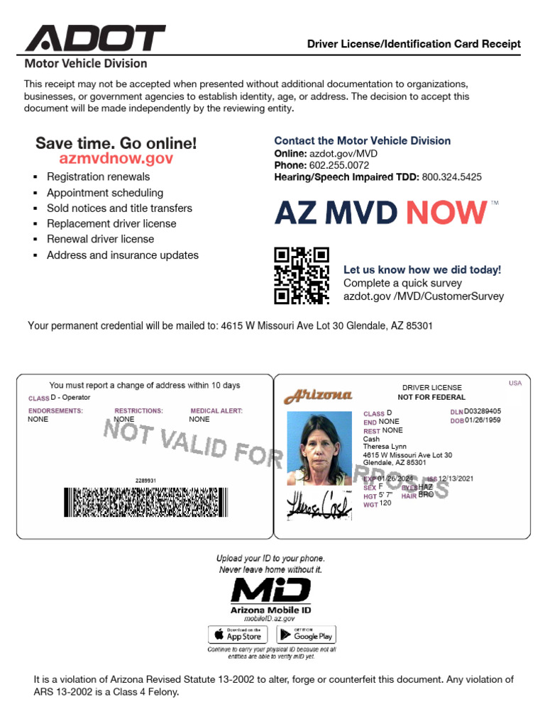Terri | Download Free PDF | Driver's License