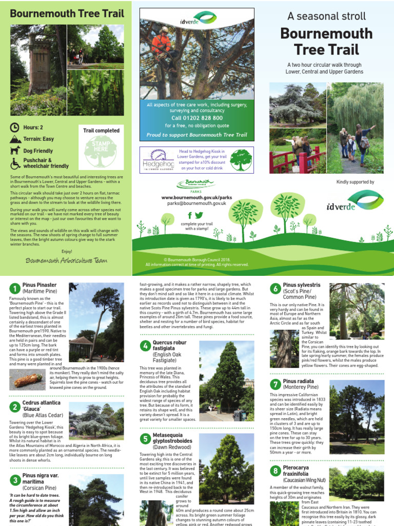 Bournemouth Tree Trail Guide | PDF | Pine | Trees