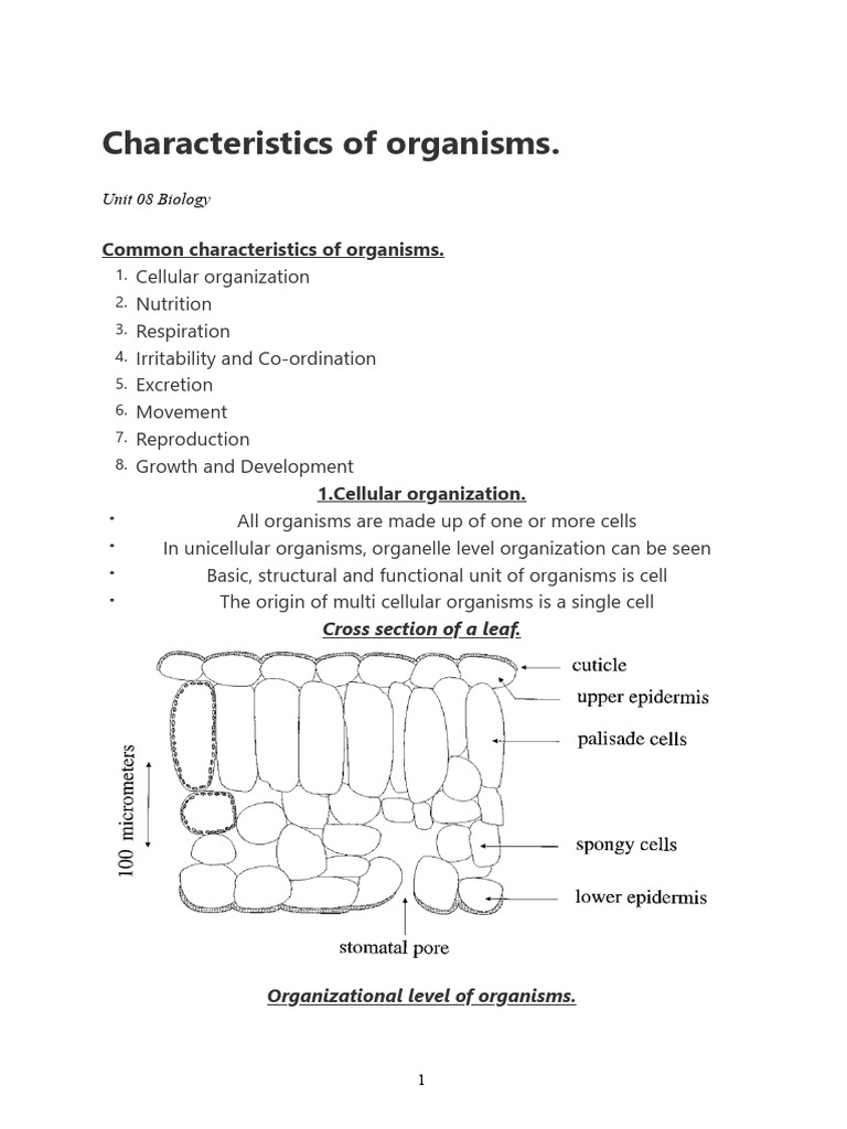 Characteristics of Organisms. | PDF | Cell (Biology) | Organisms