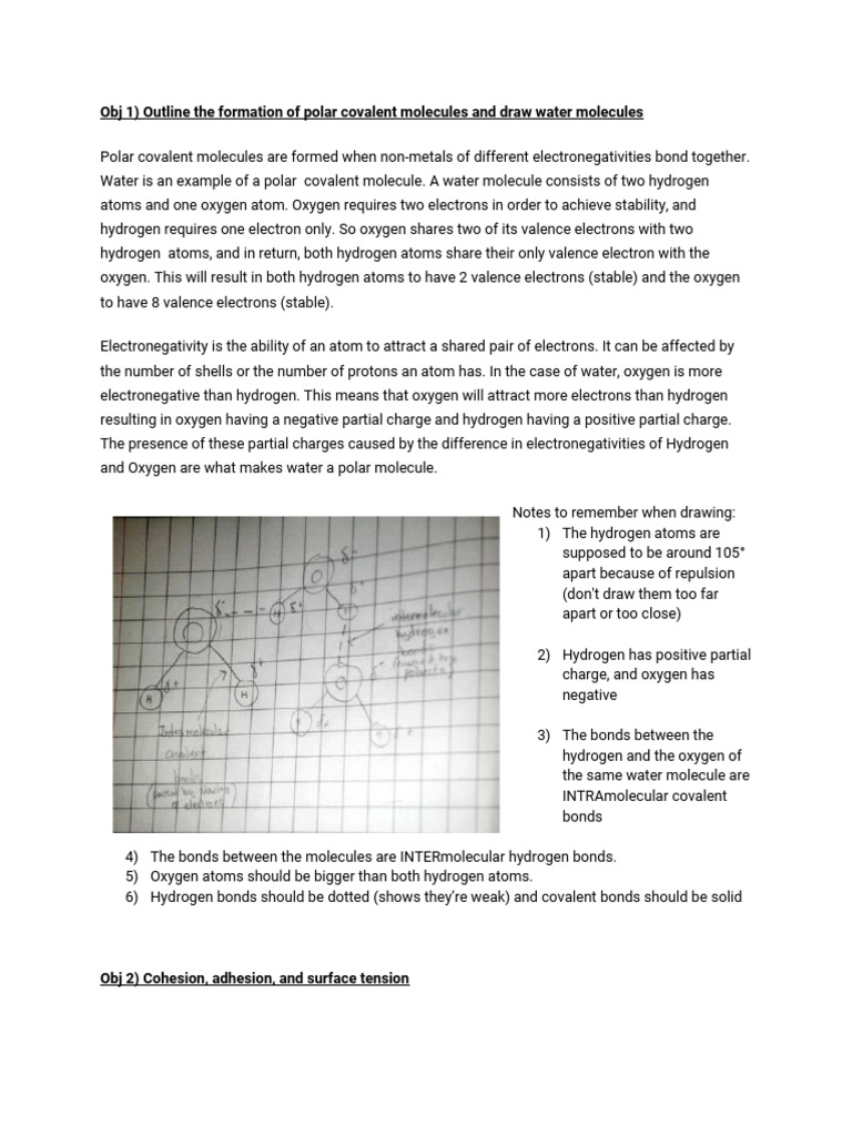 IB Biology Theme A Notes | PDF | Cell (Biology) | Nucleic Acids