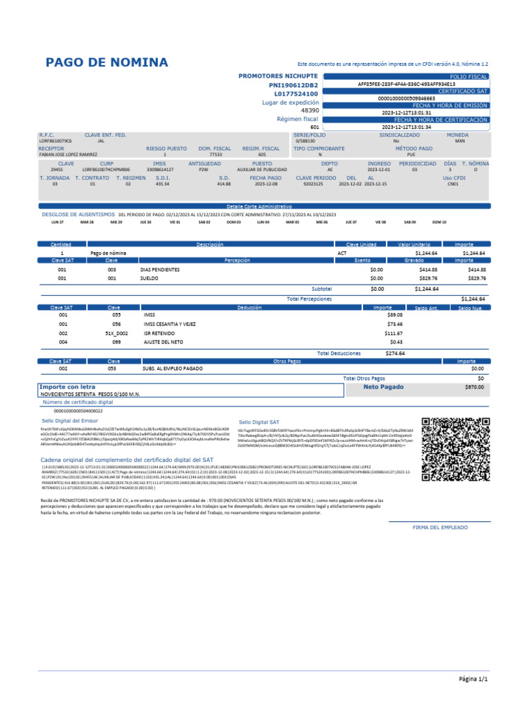 Pago de Nomina | PDF