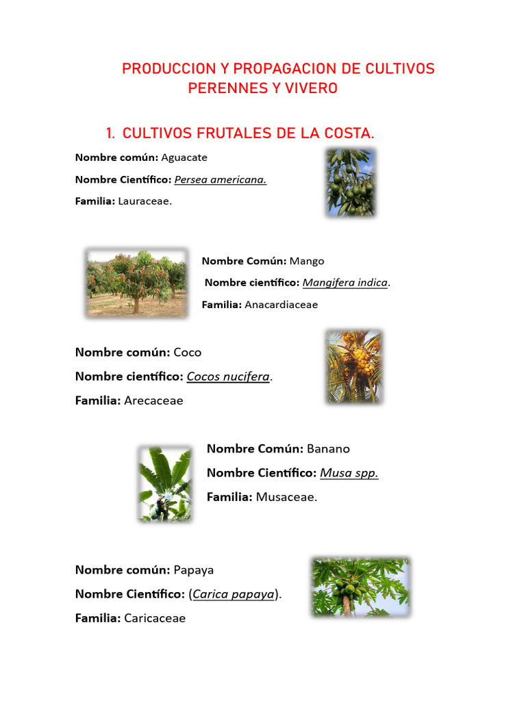 Produccion y Propagacion de Cultivos Perennes y Vivero | PDF ...