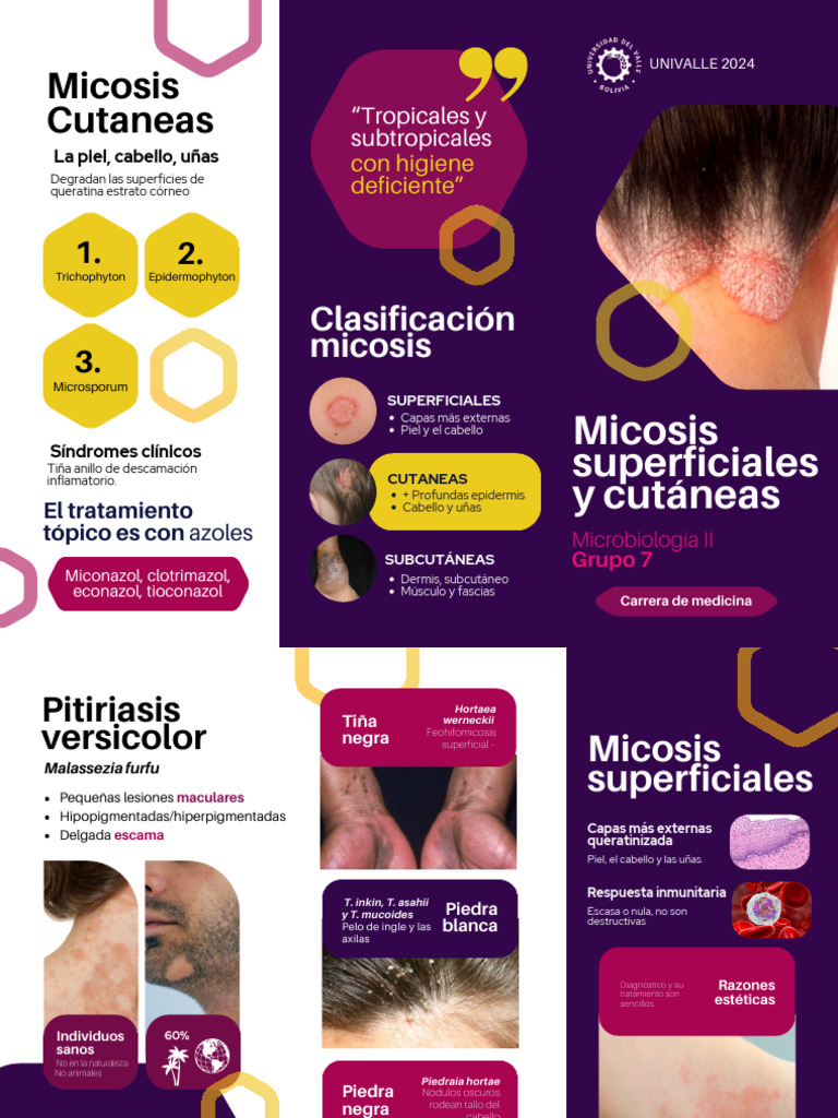 Micosis Superficiales y Cutáneas TRIPTICO | PDF | Piel | Sistema ...