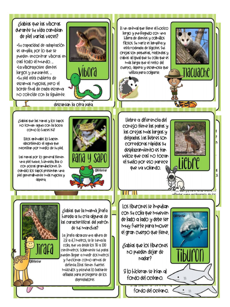 Fichas Informativas para Niños | PDF