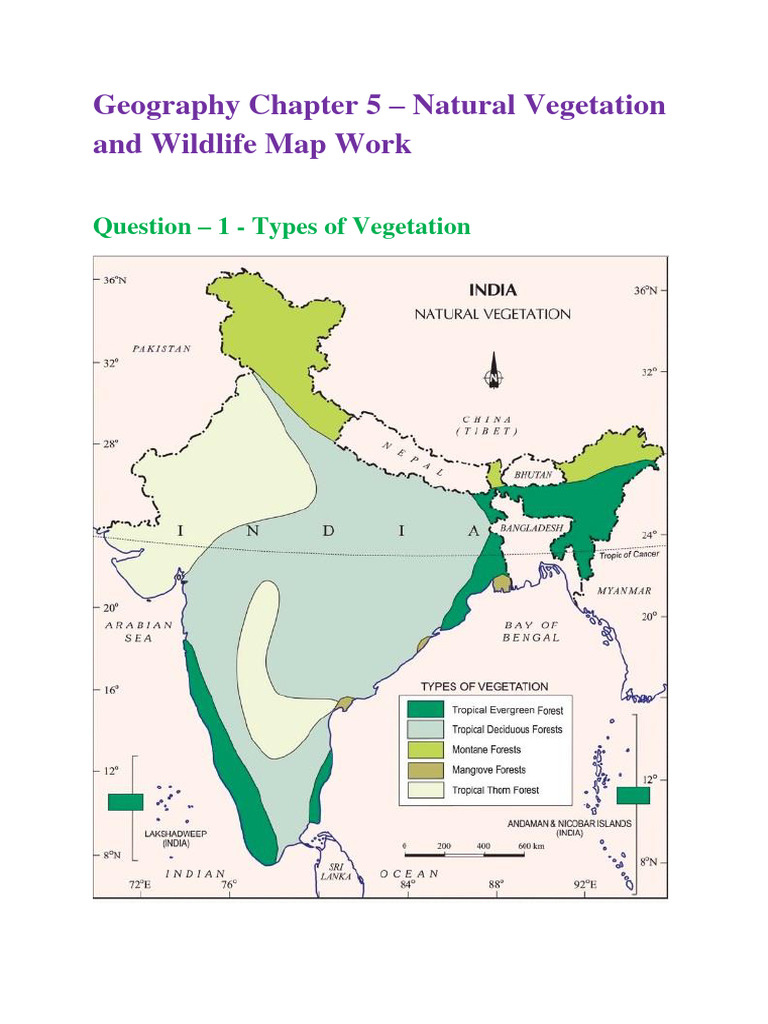 Map Work of Geography Chapter 5 - Natural Vegetation and Wildlife | PDF