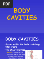 Body Cavities, Regions and Quadrants | PDF | Abdomen | Anatomy