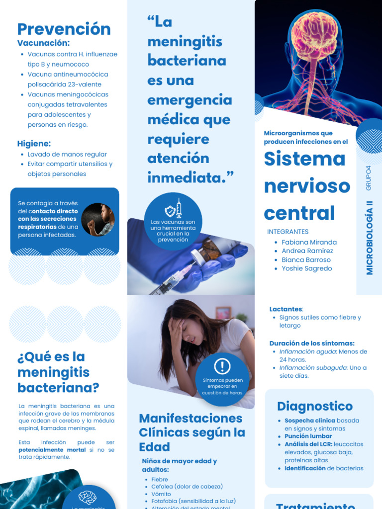 Triptico MENINGITIS BACTERIANA | Descargar gratis PDF | Meningitis ...