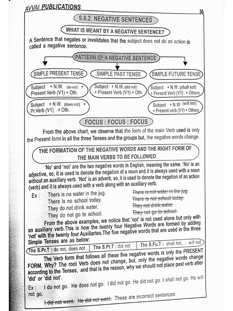 Negative Sentences | PDF
