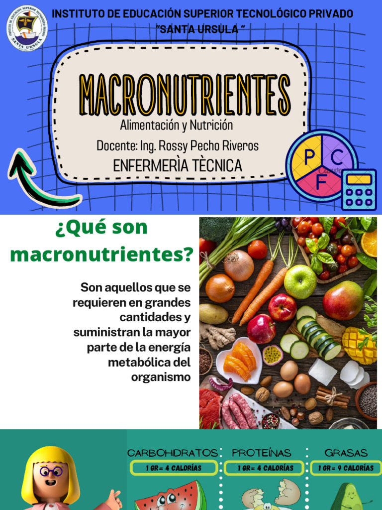 Macronutrientes: Carbohidratos, Proteínas y Grasas | PDF | Nutrientes ...
