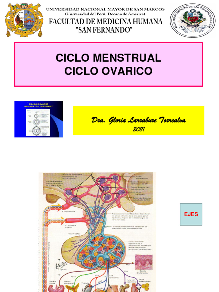 Ciclo Ovárico y Hormonas Femeninas | PDF | Hormona luteinizante | Ovario
