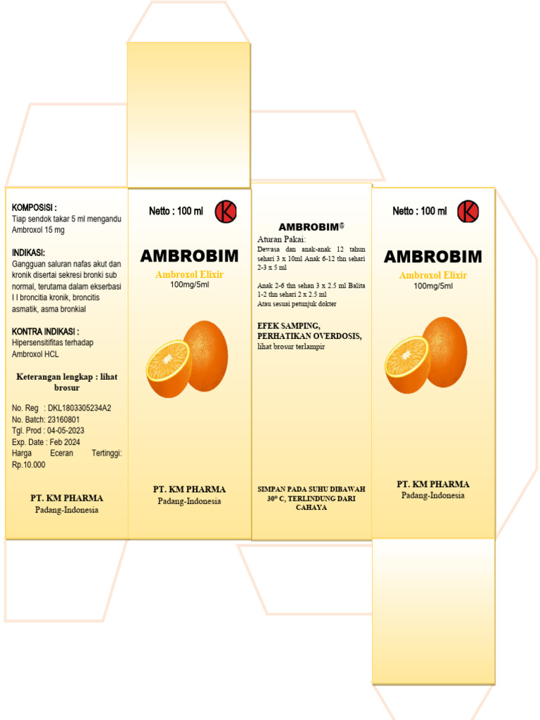 Kemasan Sirup Ambroxol | PDF