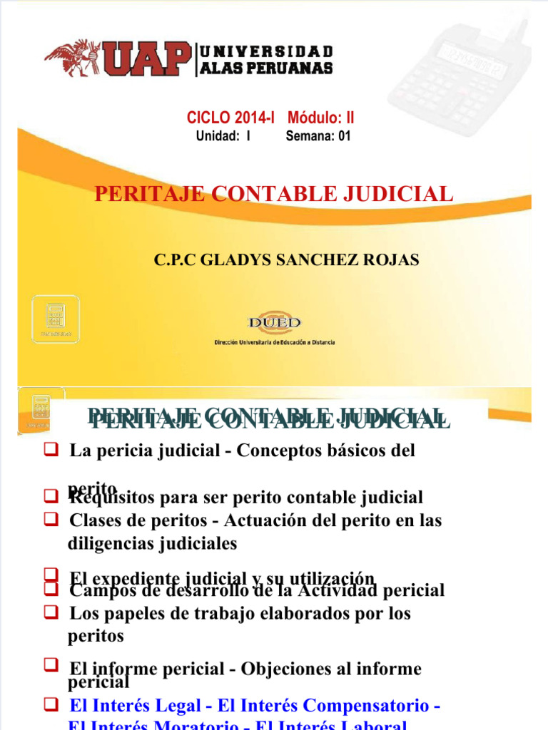 Introducción al Peritaje Contable Judicial | PDF | Testigo experto ...