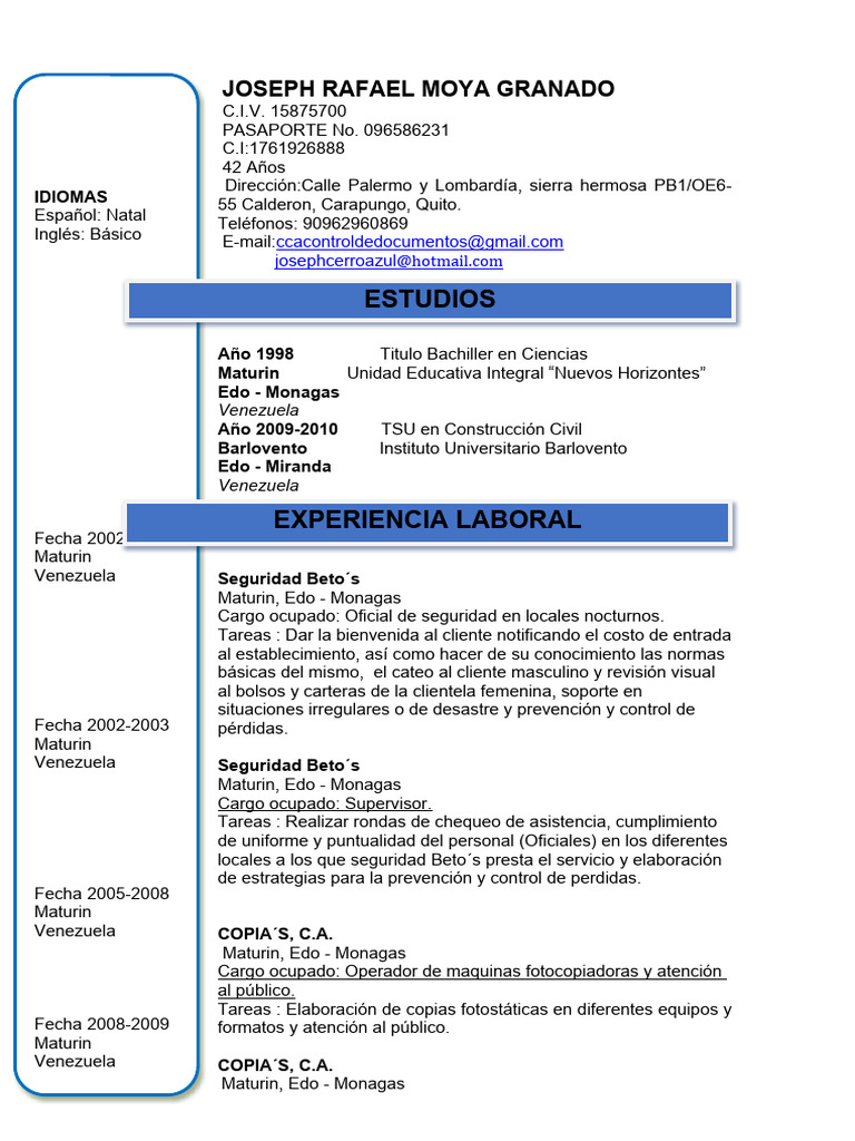 Perfil Profesional de Joseph Moya Granado | PDF | Venezuela