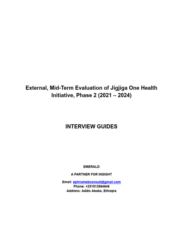 Revised Manual Interview Guide - Copy | PDF | Governance | Capacity ...