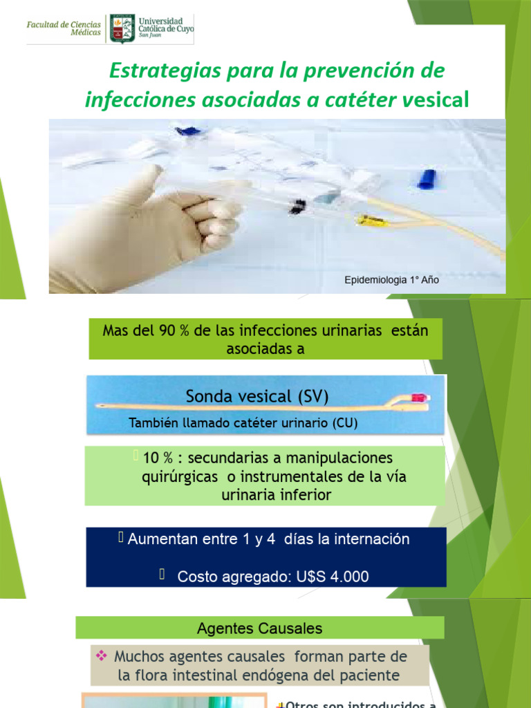 Cateter Vesical | PDF | Infección del tracto urinario | Sistema urinario