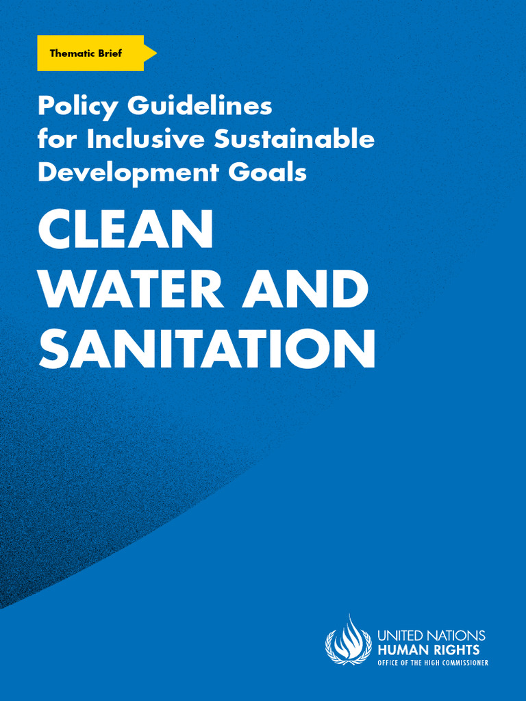 Thematic Brief Clean Water | PDF | Wash | Disability