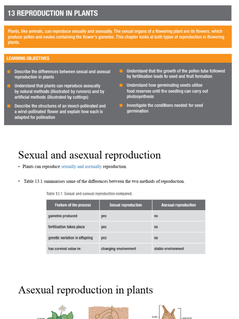 Reproduction in Plants | PDF | Sexual Reproduction | Seed
