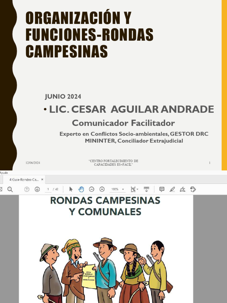 4 Organización y Funciones de Rondas Campesinas | PDF | Justicia | Crimen y violencia
