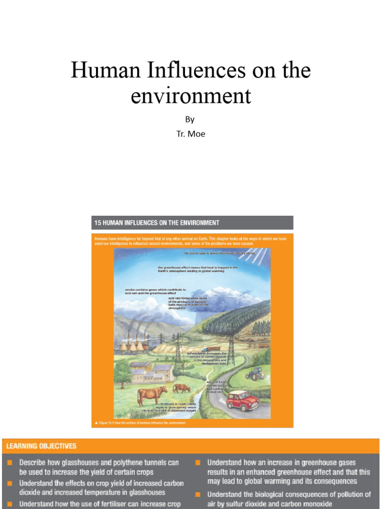 Human Impact on Environmental Sustainability | PDF | Insecticide ...