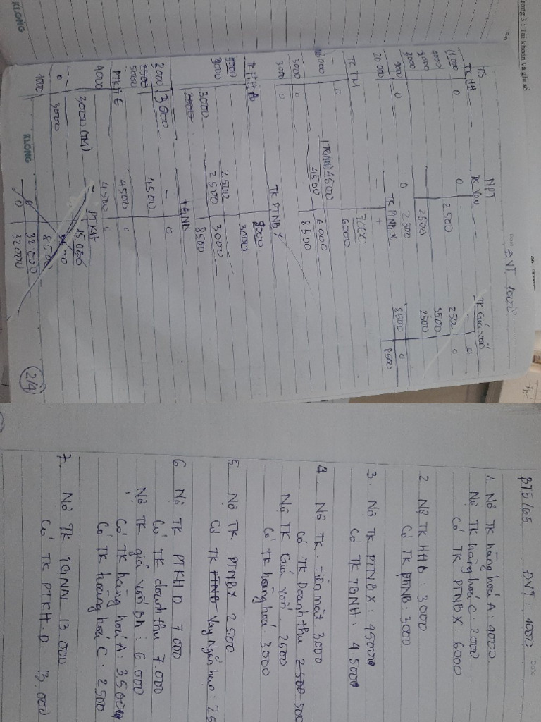 31 Nlkt-212a24 Pham Thi Bang Tuyen Btc3 | PDF