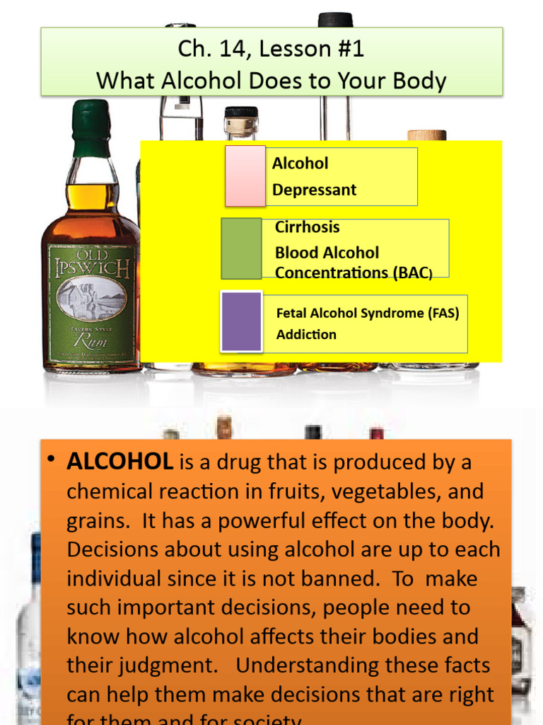 What Alcohol Does to Your Body | Download Free PDF | Alcohol ...