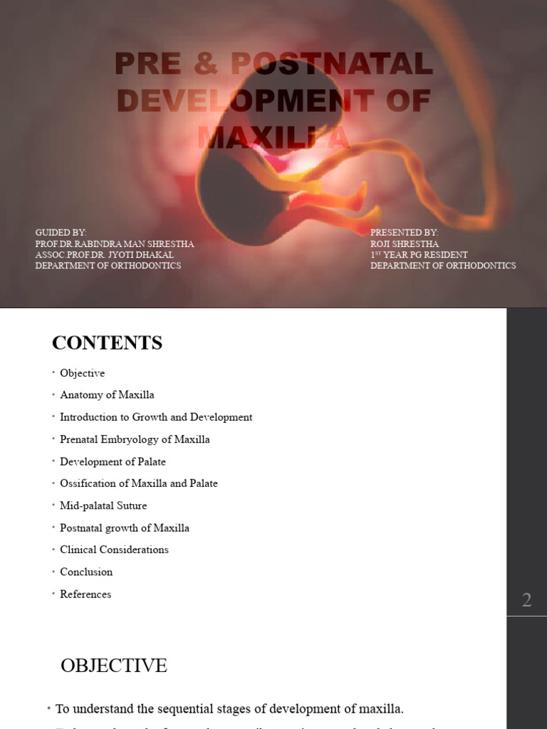 Prenatal and Postnatal Development of Maxilla | PDF | Human Head And ...