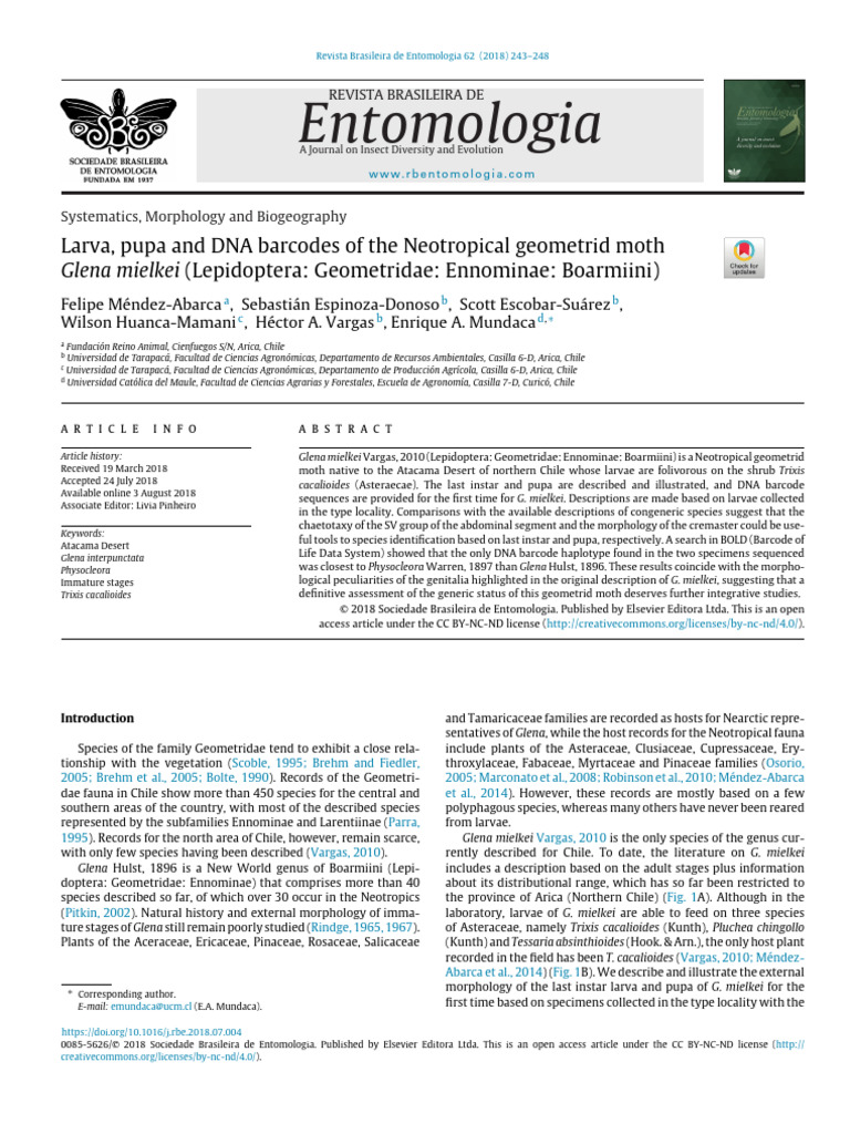 2018 Larva_pupa_and_DNA_barcodes_of_the_Neotropical_geo | PDF | Insects