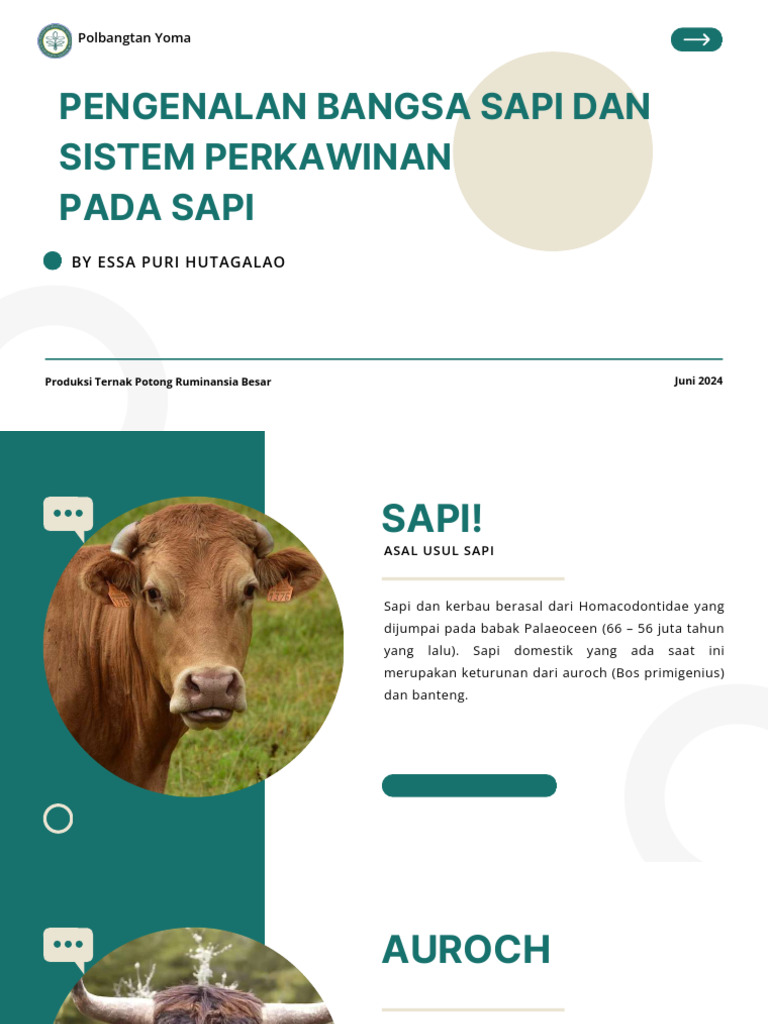 Pengenalan Bangsa & Sistem Perkawinan Sapi | PDF