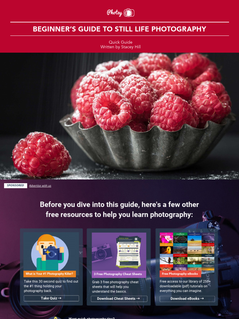 StillLife | PDF | Composition (Visual Arts) | Still Life