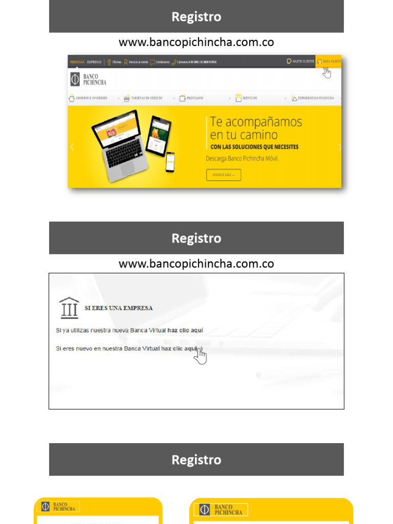 Instructivo - Portal BANCO PICHINCHA | PDF | Contraseña | Autenticación