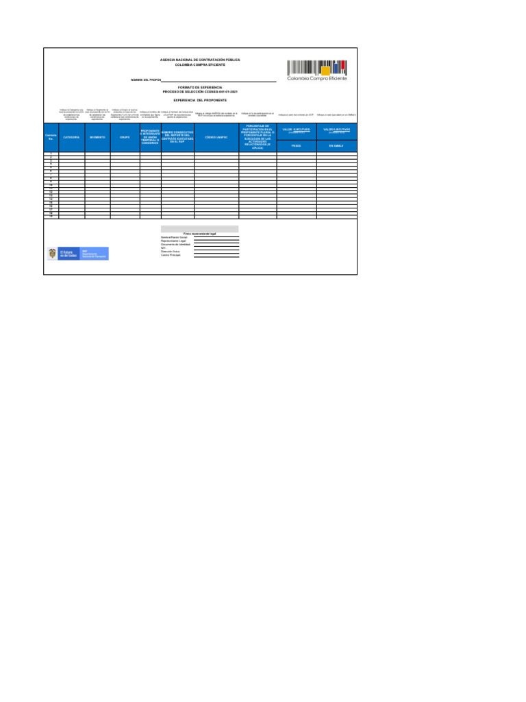 Formato 8 - Experiencia Proponente | PDF
