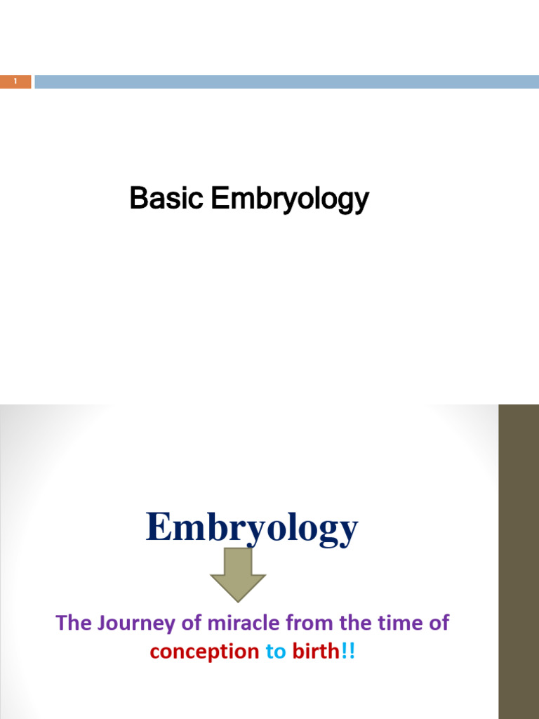 01 Basic Embryology ANATOMY | PDF | Twin | Placenta