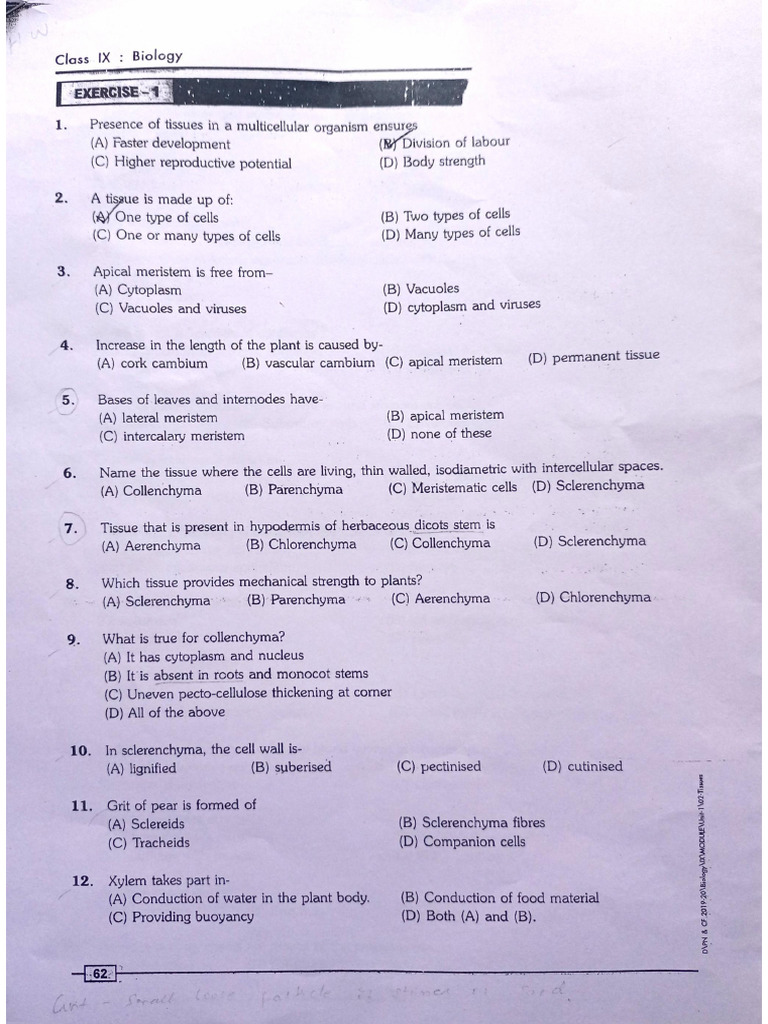 Tissues (Biology) Notes .Class 9-A | PDF