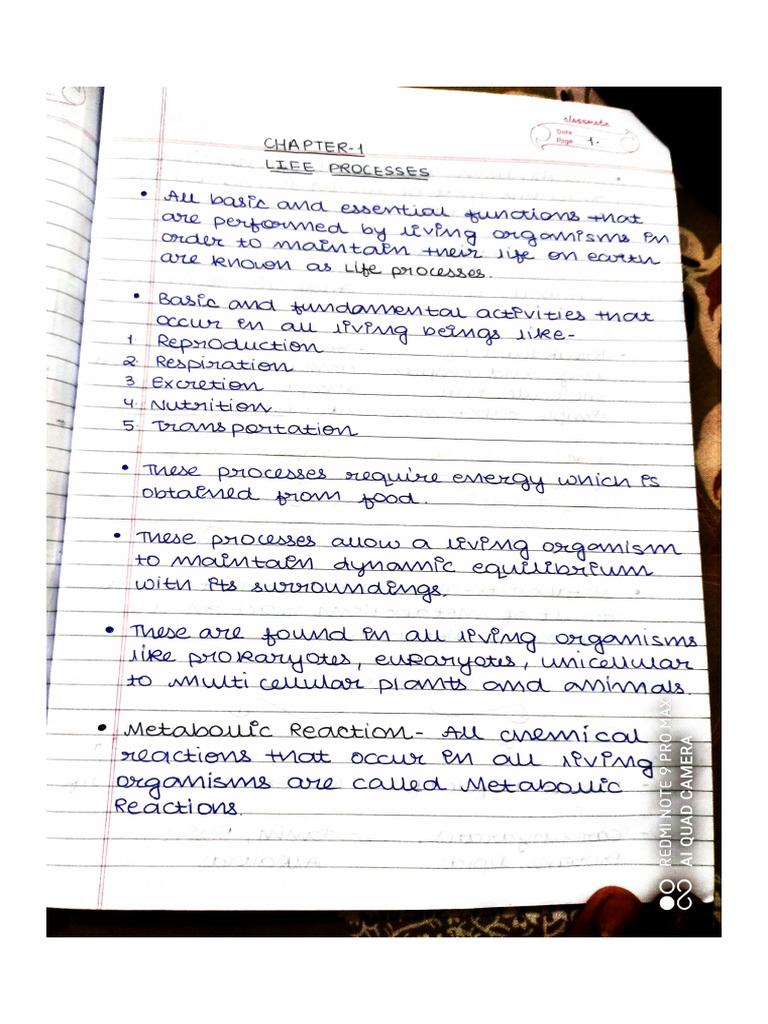 NUTRITION Notes | PDF