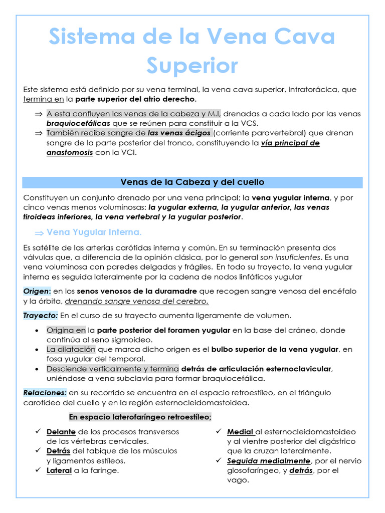 Anatomía del Sistema de Vena Cava Superior | PDF | Angiología | Sistema ...